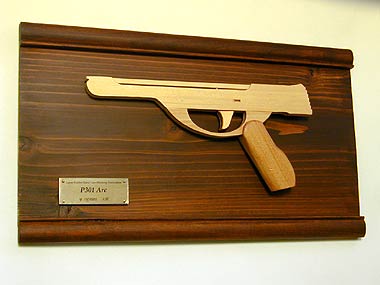 OGG CRAFT'S GUN LOCKER P301 ARC